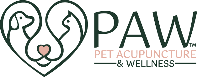 Conditions We Treat | PAW Vet Practice